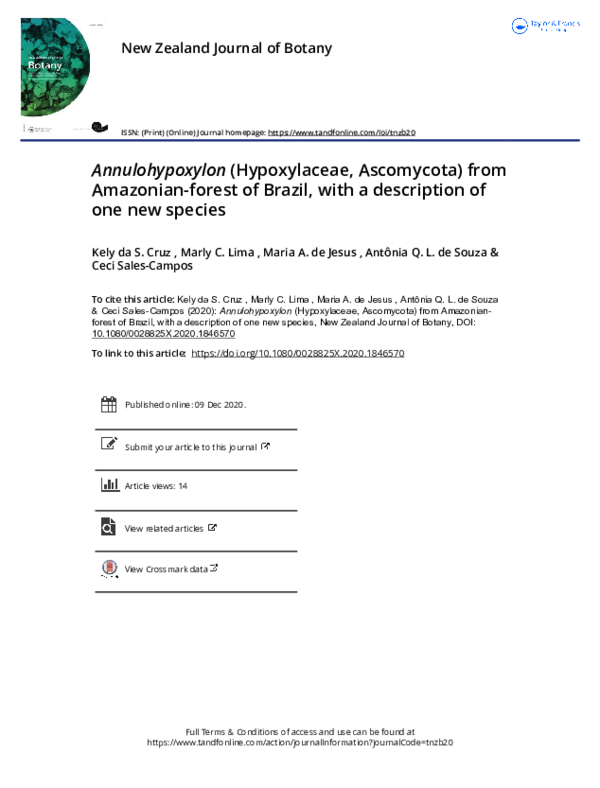 (PDF) Annulohypoxylon (Hypoxylaceae, Ascomycota) from Amazonian-forest ...