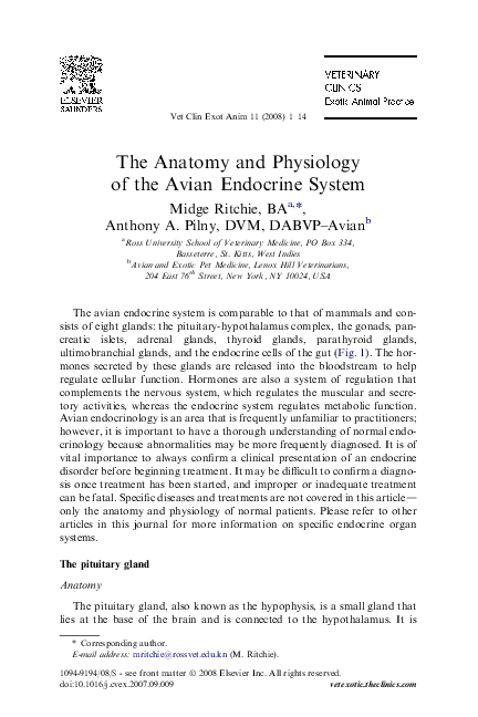 (PDF) The Anatomy and Physiology of the Avian Endocrine System