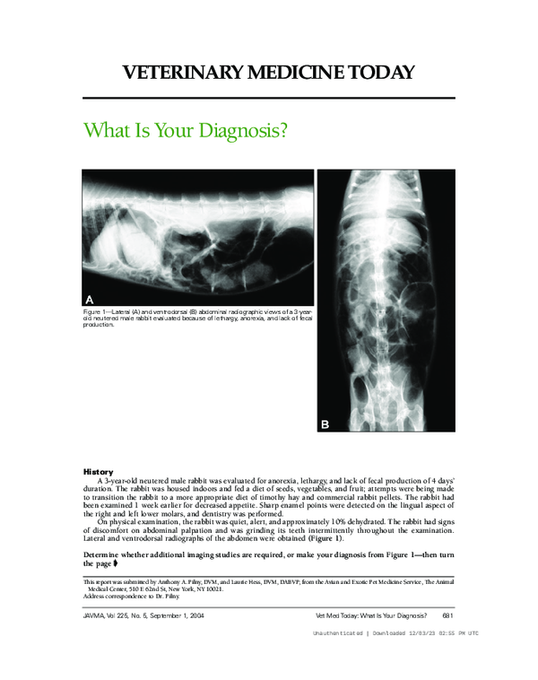 (PDF) What is your diagnosis? Gastrointestinal stasis syndrome