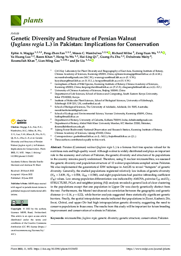 (PDF) Genetic Diversity and Structure of Persian Walnut (Juglans regia ...
