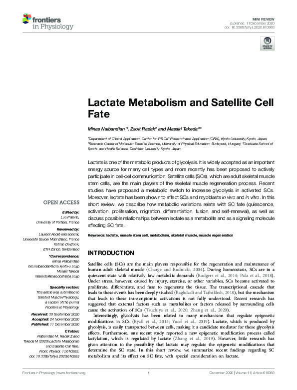 (PDF) Lactate Metabolism and Satellite Cell Fate
