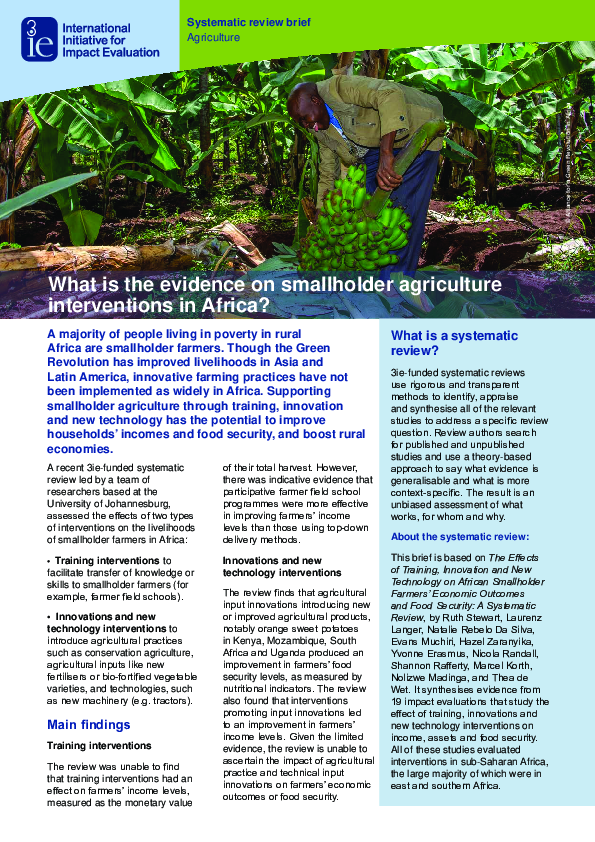 (PDF) What is the evidence on smallholder agriculture interventions in ...