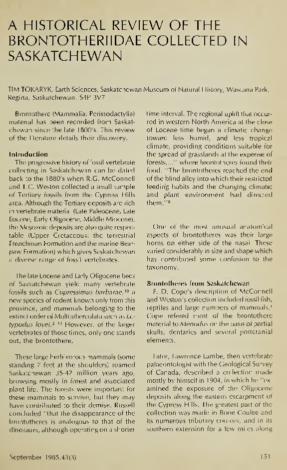 (PDF) A Historical Review of the Brontotheriidae Collected in ...