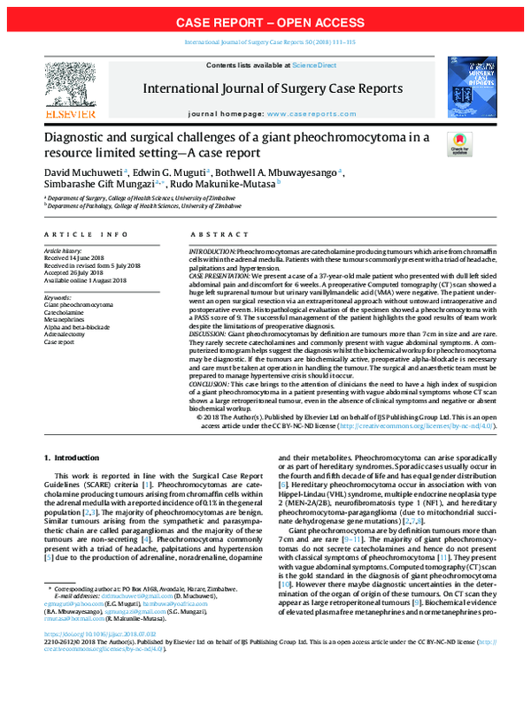 (PDF) Diagnostic and surgical challenges of a giant pheochromocytoma in ...