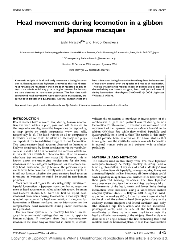 (PDF) Head movements during locomotion in a gibbon and Japanese macaques