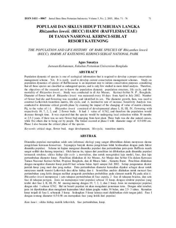(PDF) THE POPULATION AND LIFE HISTORY OF RARE SPECIES OF Rhizanthes ...