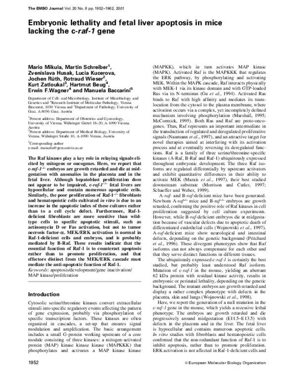 (PDF) Embryonic lethality and fetal liver apoptosis in mice lacking the ...