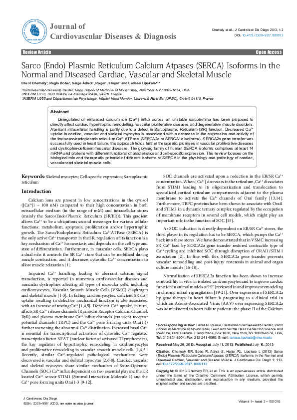 (PDF) Sarco (Endo) Plasmic Reticulum Calcium Atpases (SERCA) Isoforms ...