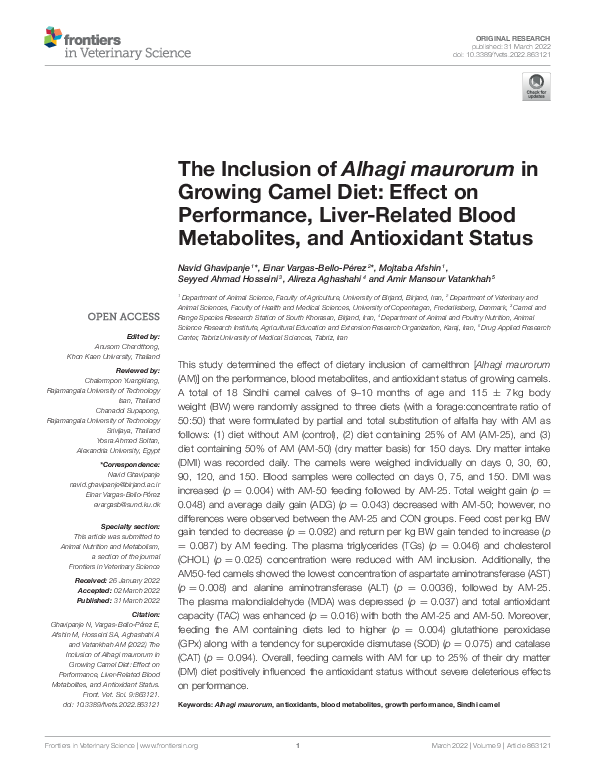 (PDF) The Inclusion of Alhagi maurorum in Growing Camel Diet: Effect on ...