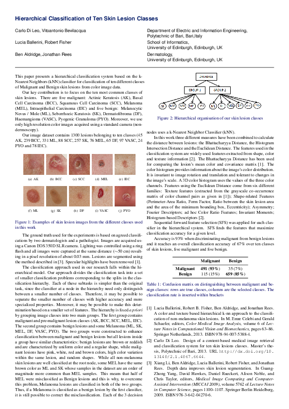 (PDF) Hierarchical Classification of Ten Skin Lesion Classes ...