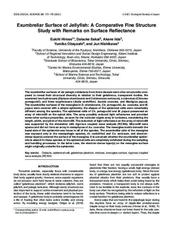 (PDF) Exumbrellar Surface of Jellyfish: A Comparative Fine Structure ...