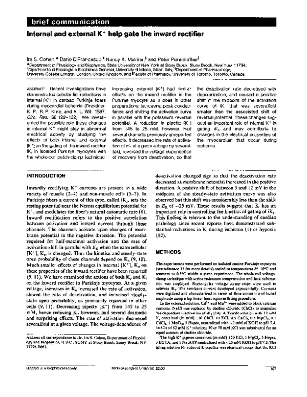 (PDF) Internal and external K+ help gate the inward rectifier | Peter ...