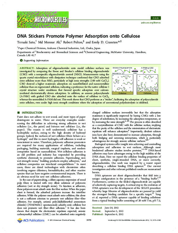 (PDF) DNA Stickers Promote Polymer Adsorption onto Cellulose