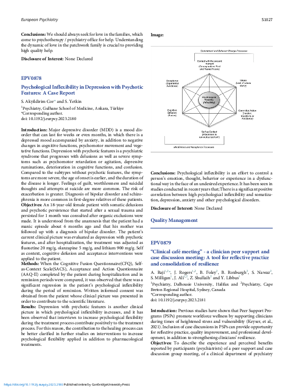 (PDF) Psychological Inflexibility in Depression with Psychotic Features ...