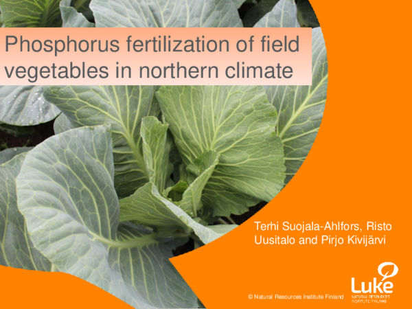(PDF) Phosphorus fertilization of field vegetables in northern climate