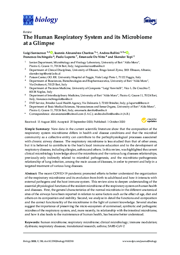 (PDF) The Human Respiratory System and its Microbiome at a Glimpse