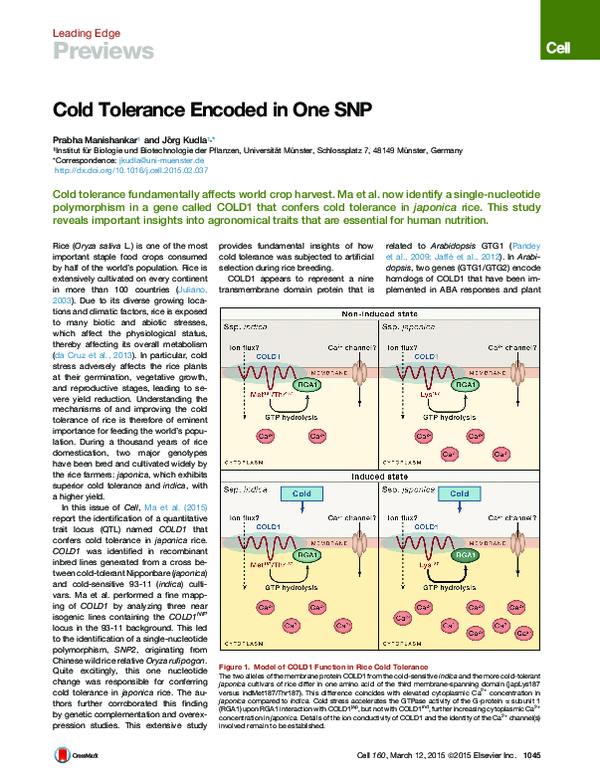 (PDF) Cold Tolerance Encoded in One SNP
