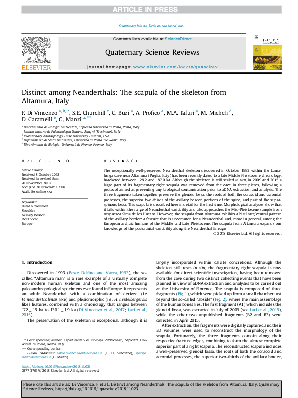 (PDF) Distinct among Neanderthals: The scapula of the skeleton from ...