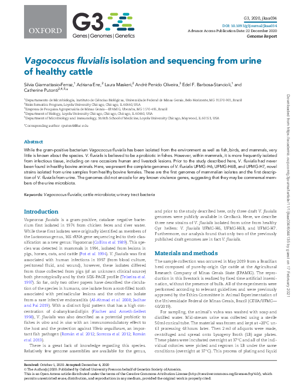 (PDF) Vagococcus fluvialis isolation and sequencing from urine of ...