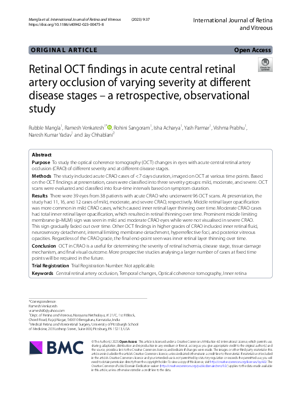 (PDF) Retinal OCT findings in acute central retinal artery occlusion of ...