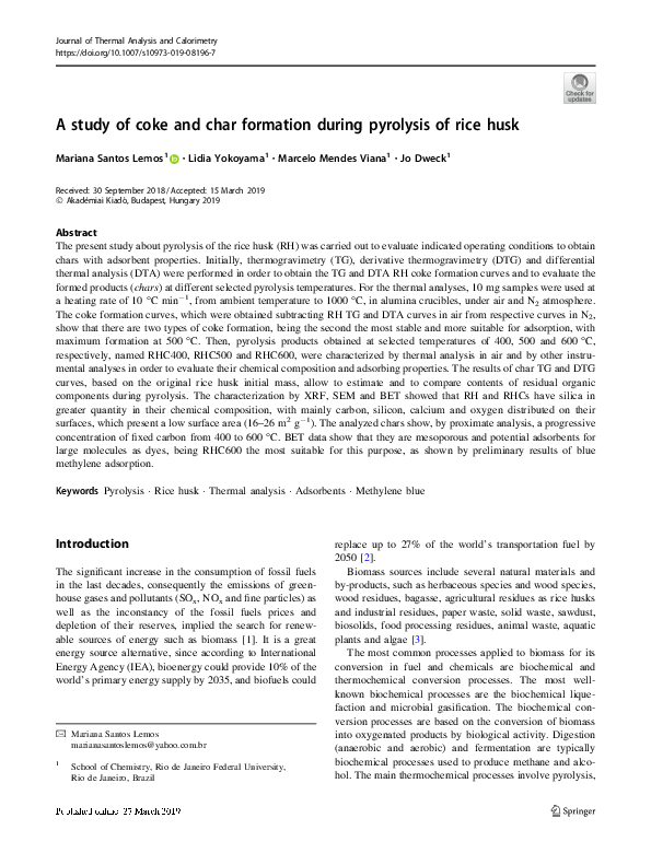 (PDF) A study of coke and char formation during pyrolysis of rice husk