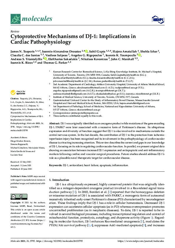 (PDF) Cytoprotective Mechanisms of DJ-1: Implications in Cardiac ...