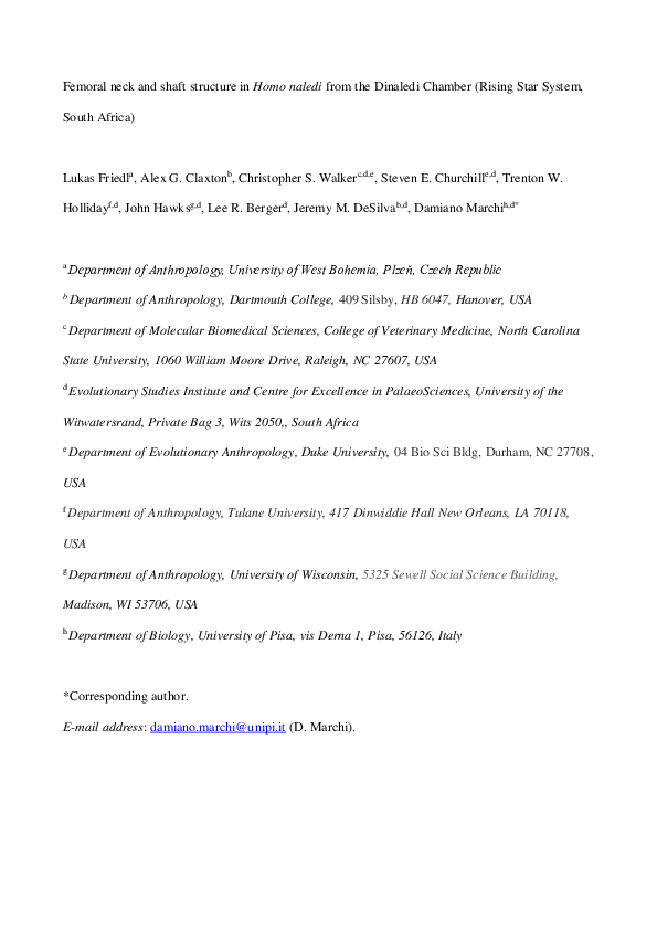 (PDF) Femoral neck and shaft structure in Homo naledi from the Dinaledi ...