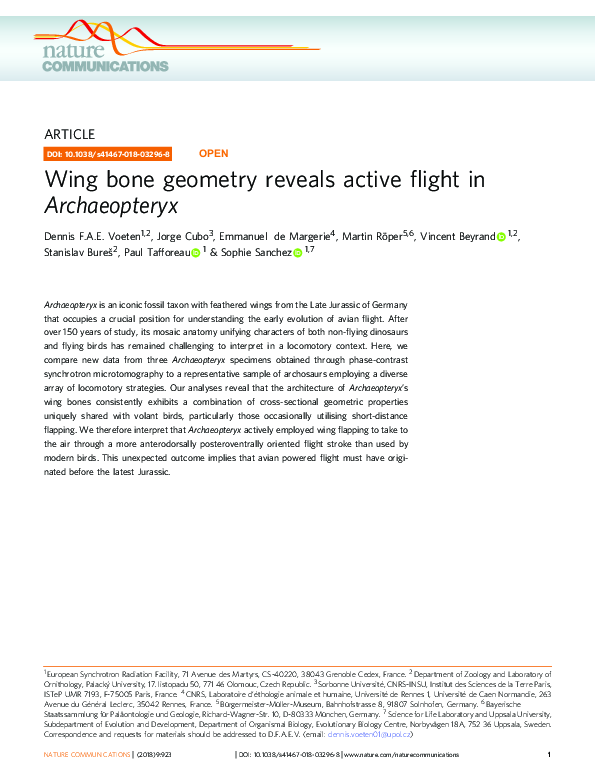 (PDF) Wing bone geometry reveals active flight in Archaeopteryx