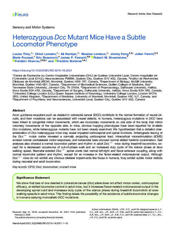 (PDF) Heterozygous Dcc Mutant Mice Have a Subtle Locomotor Phenotype