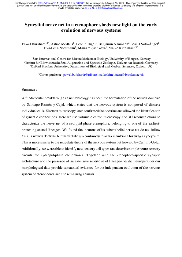(PDF) Syncytial nerve net in a ctenophore sheds new light on the early ...
