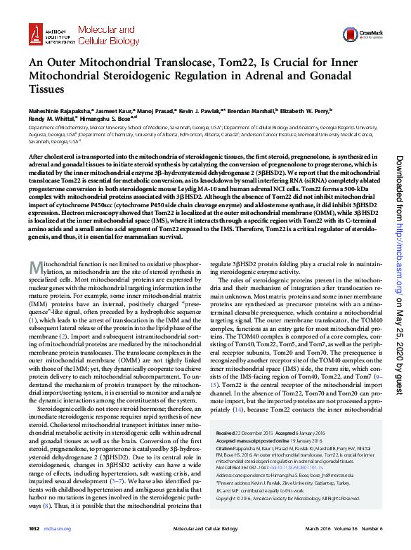 (PDF) An Outer Mitochondrial Translocase, Tom22, Is Crucial for Inner ...