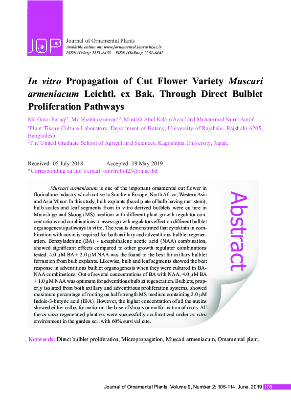 (PDF) In vitro Propagation of a Cut Flower Variety Muscari armeniacum ...