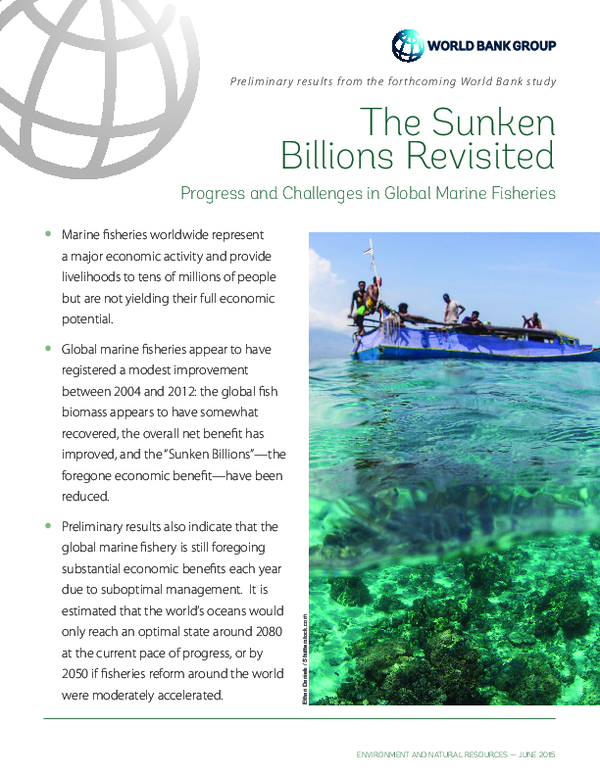 (PDF) The sunken billions revisited : progress and challenges in global ...