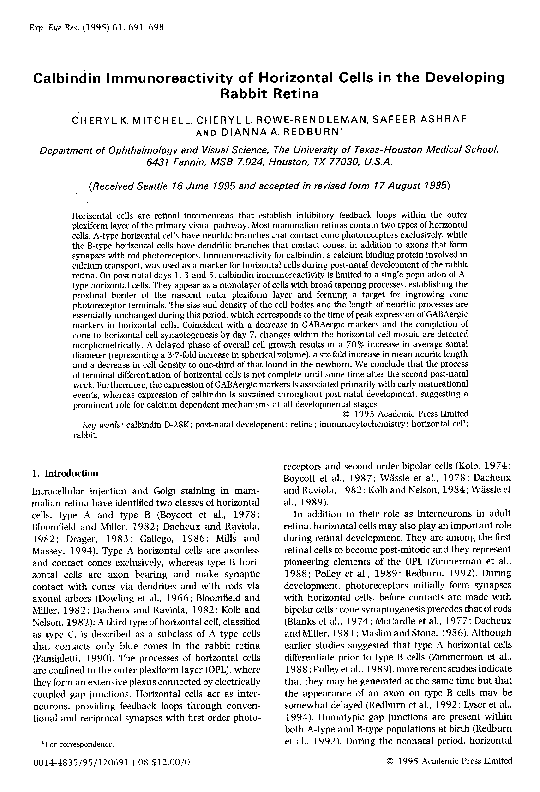 (PDF) Calbindin immunoreactivity of horizontal cells in the developing ...