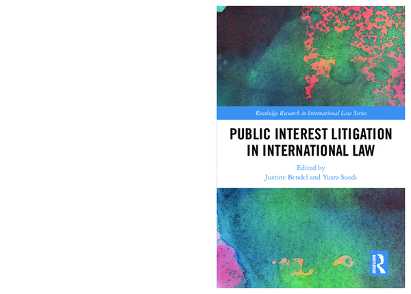 (PDF) Mapping the ‘Public’ in Public Interest Litigation: An Empirical ...