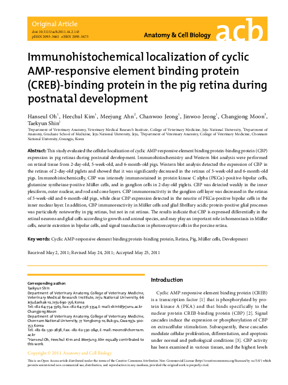 (PDF) Immunohistochemical localization of cyclic AMP during normal and ...