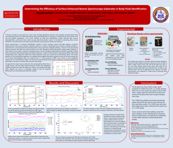 (PPT) 2014 REU Poster: Determining the Efficiency of Surface-Enhanced ...