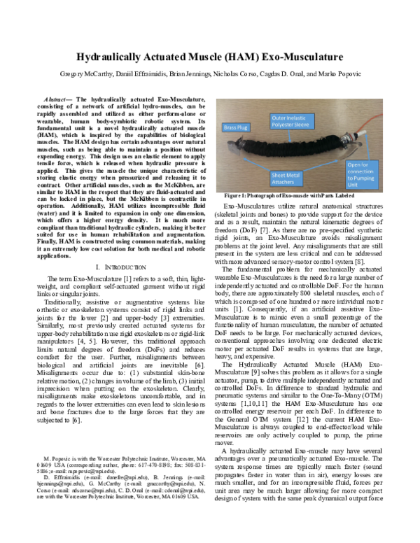 (PDF) Hydraulically Actuated Muscle (HAM) Exo-Musculature