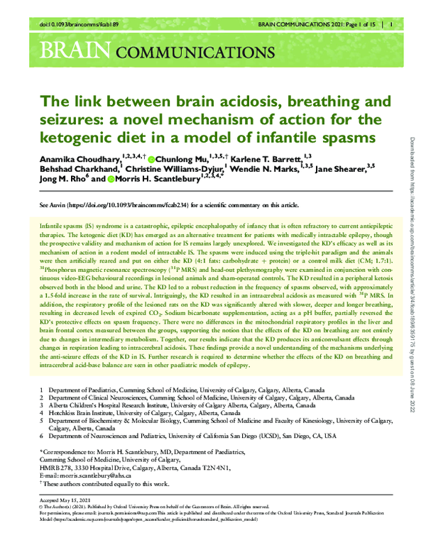 (PDF) The link between brain acidosis, breathing and seizures: a novel ...