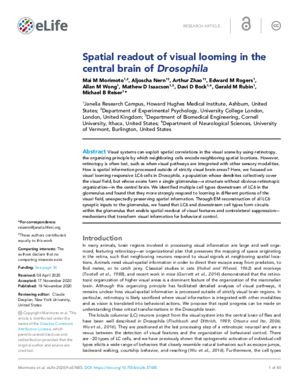 (PDF) Spatial readout of visual looming in the central brain of Drosophila