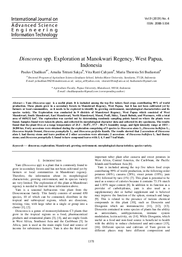(PDF) Dioscorea spp. Exploration at Manokwari Regency, West Papua ...