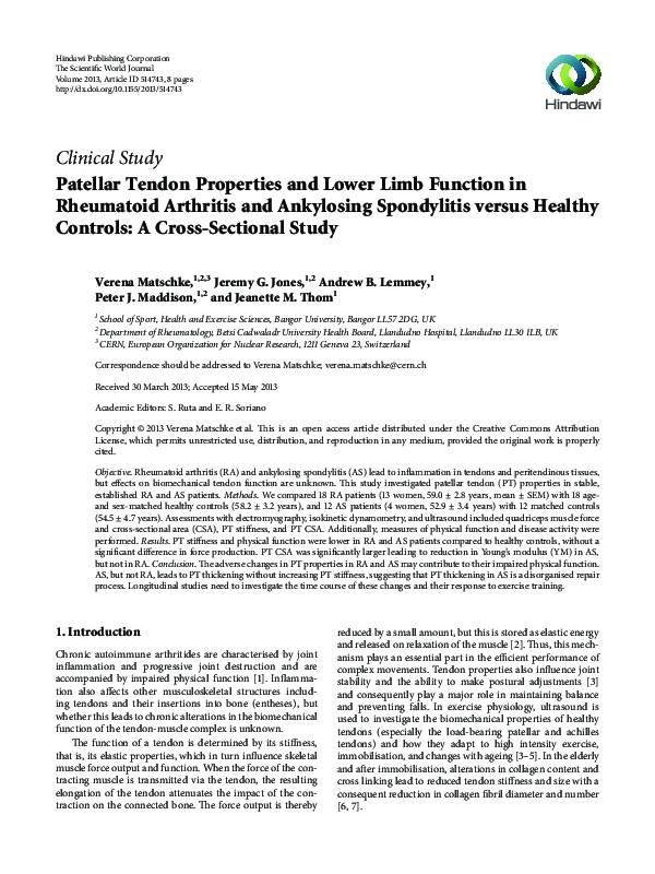 (PDF) Patellar Tendon Properties and Lower Limb Function in Rheumatoid ...