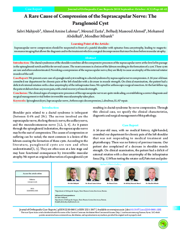 (PDF) A Rare Cause of Compression of the Suprascapular Nerve: The ...