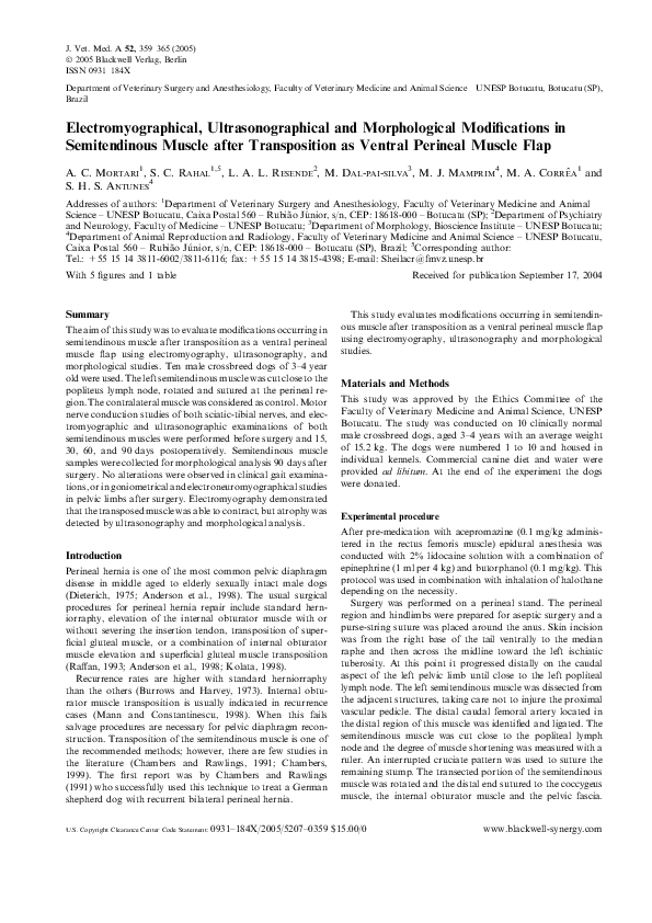 (PDF) Electromyographical, Ultrasonographical and Morphological ...