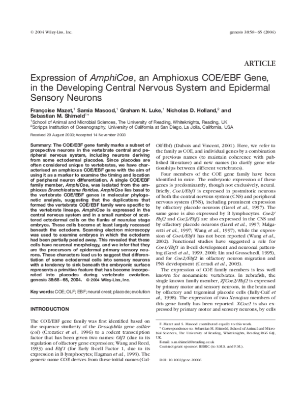 (PDF) Expression of AmphiCoe, an Amphioxus COE/EBF Gene, in the ...