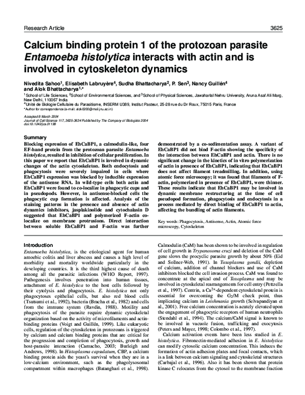 (PDF) Calcium binding protein 1 of the protozoan parasite Entamoeba ...