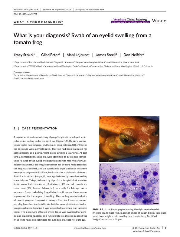 (PDF) What is your diagnosis? Swab of an eyelid swelling from a tomato frog