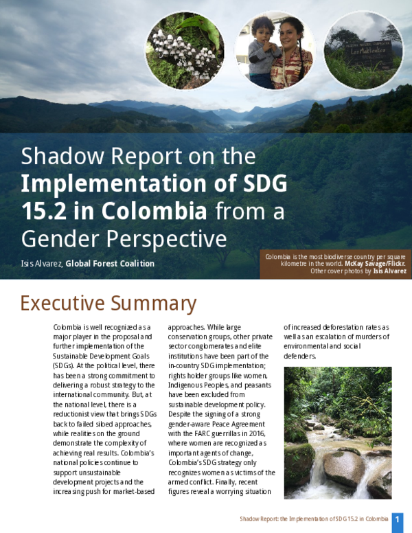 (PDF) Shadow Report on the Implementation of SDG 15 . 2 in Colombia from a Gender Perspective ...