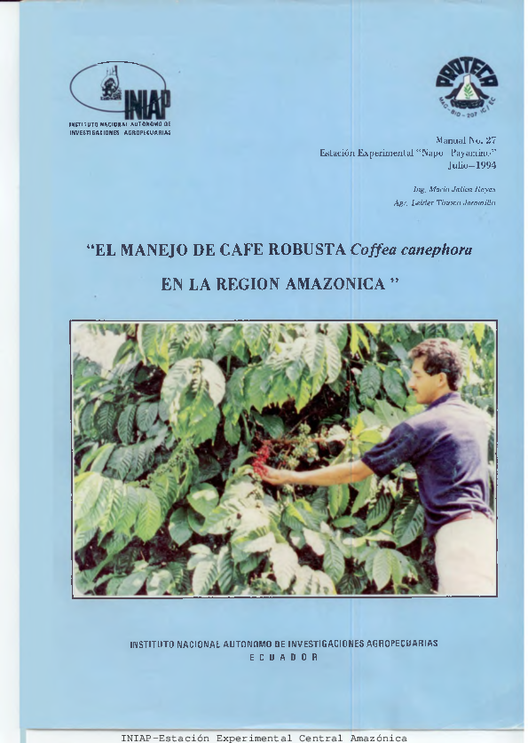 (PDF) El manejo de café robusta Coffea canephora en la región Amazónica ...