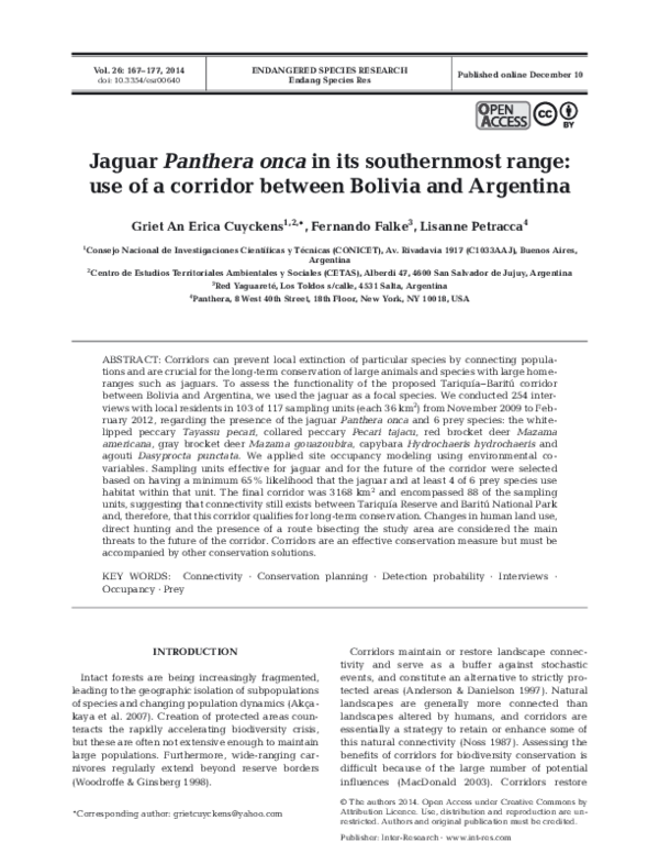 (PDF) Jaguar Panthera onca in its southernmost range: use of a corridor ...